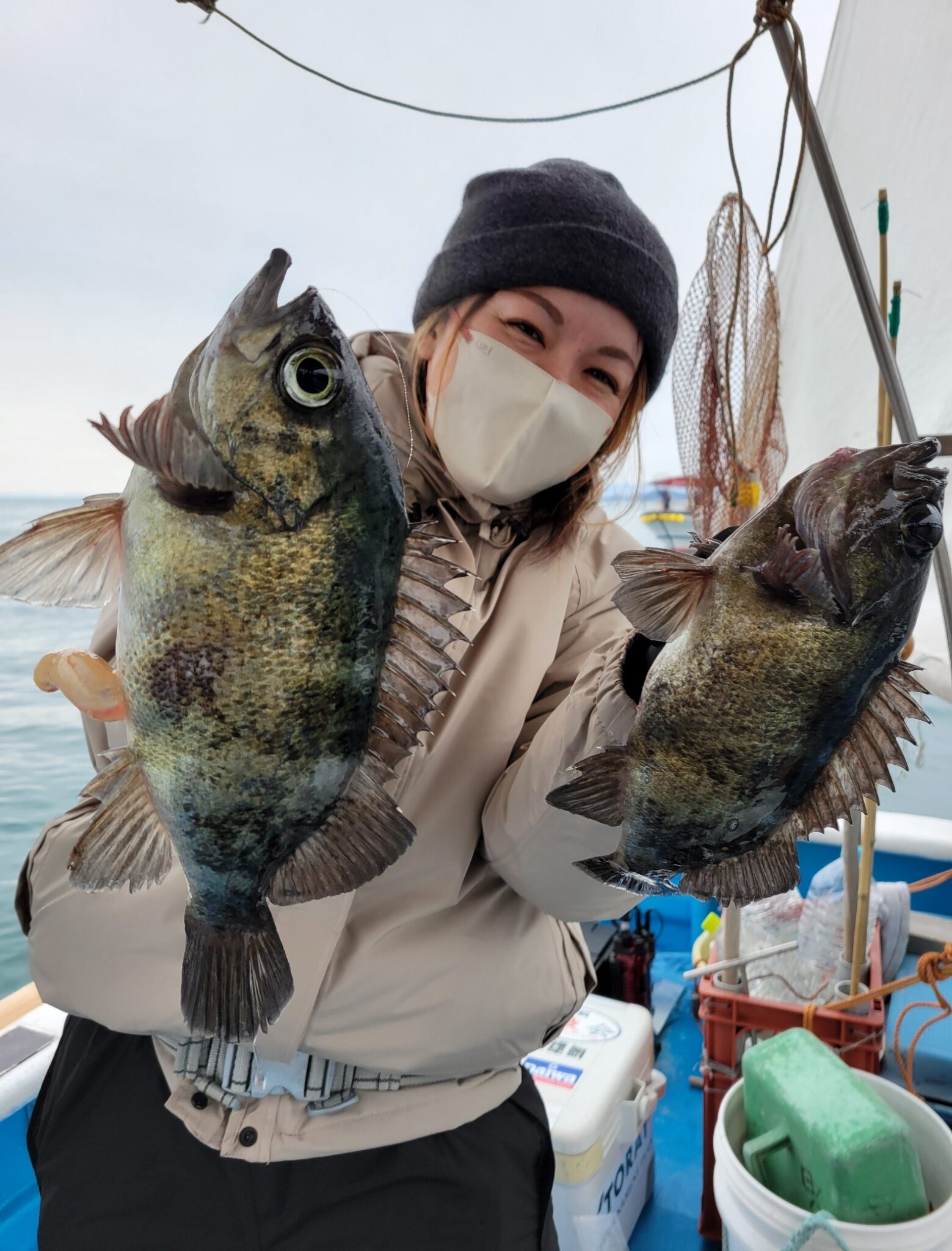 メバルサビキ釣果｜戎丸